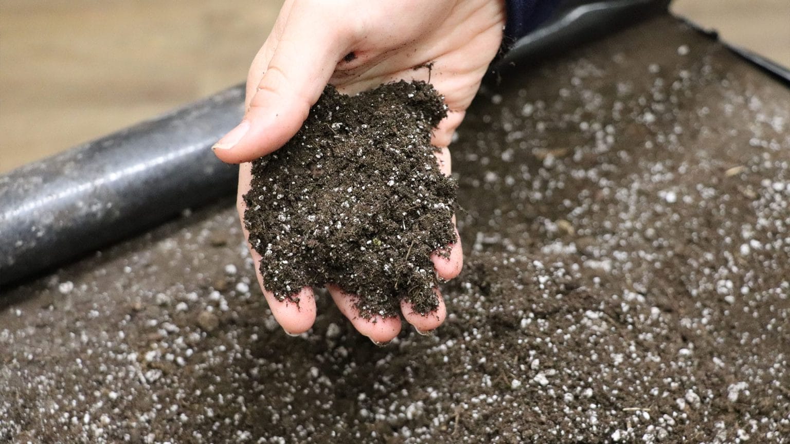 Professional Peat Mix - Aurora Peat