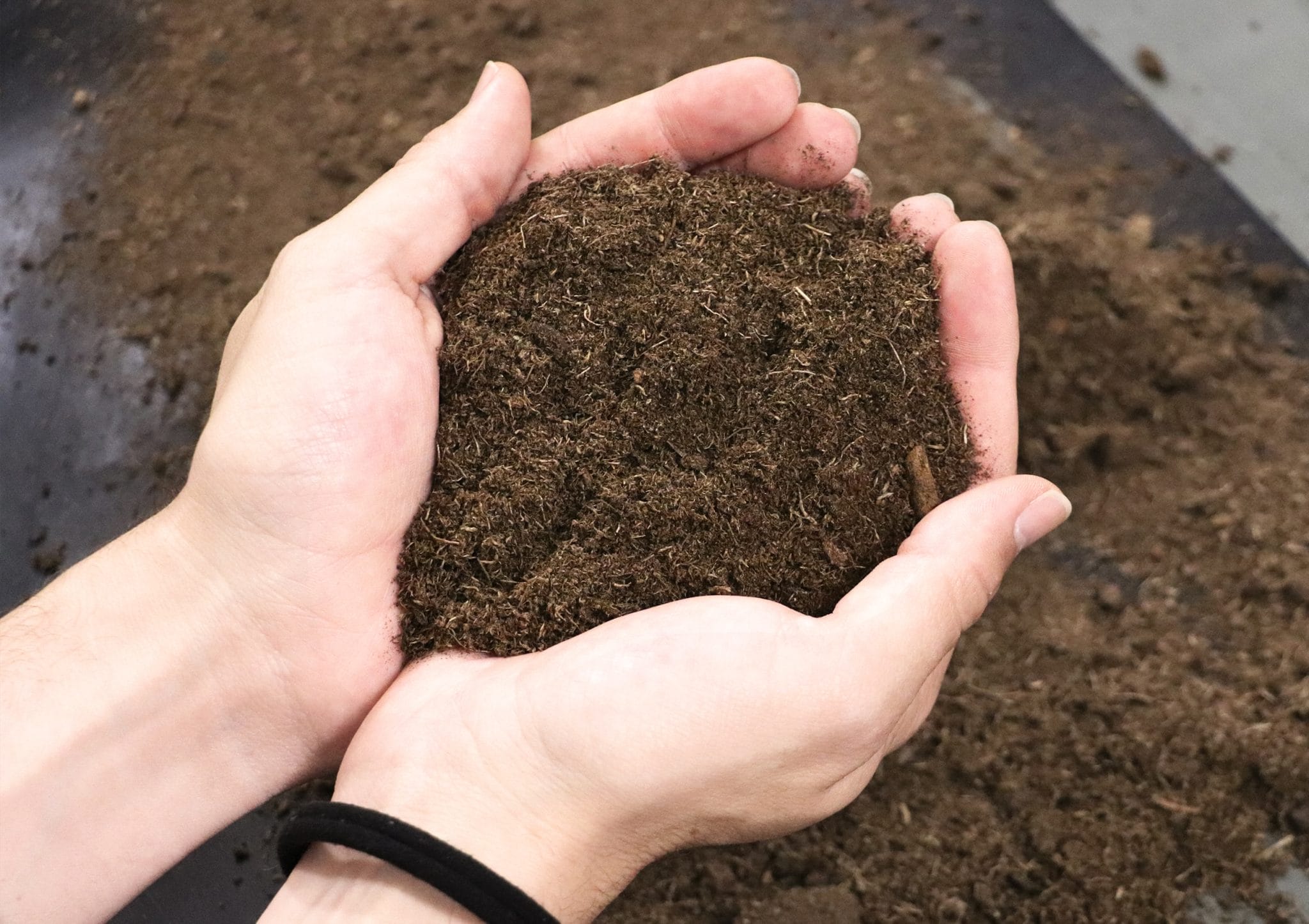 Professional Peat Mix - Aurora Peat